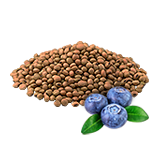 Blueberry Seed - Official 7 Days to Die Wiki