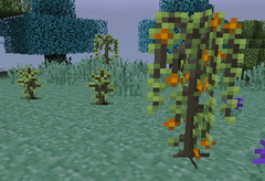 Orange Tree - Aether Wiki