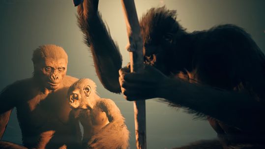 Ardipithecus ramidus - Ancestors: The Humankind Odyssey Wiki