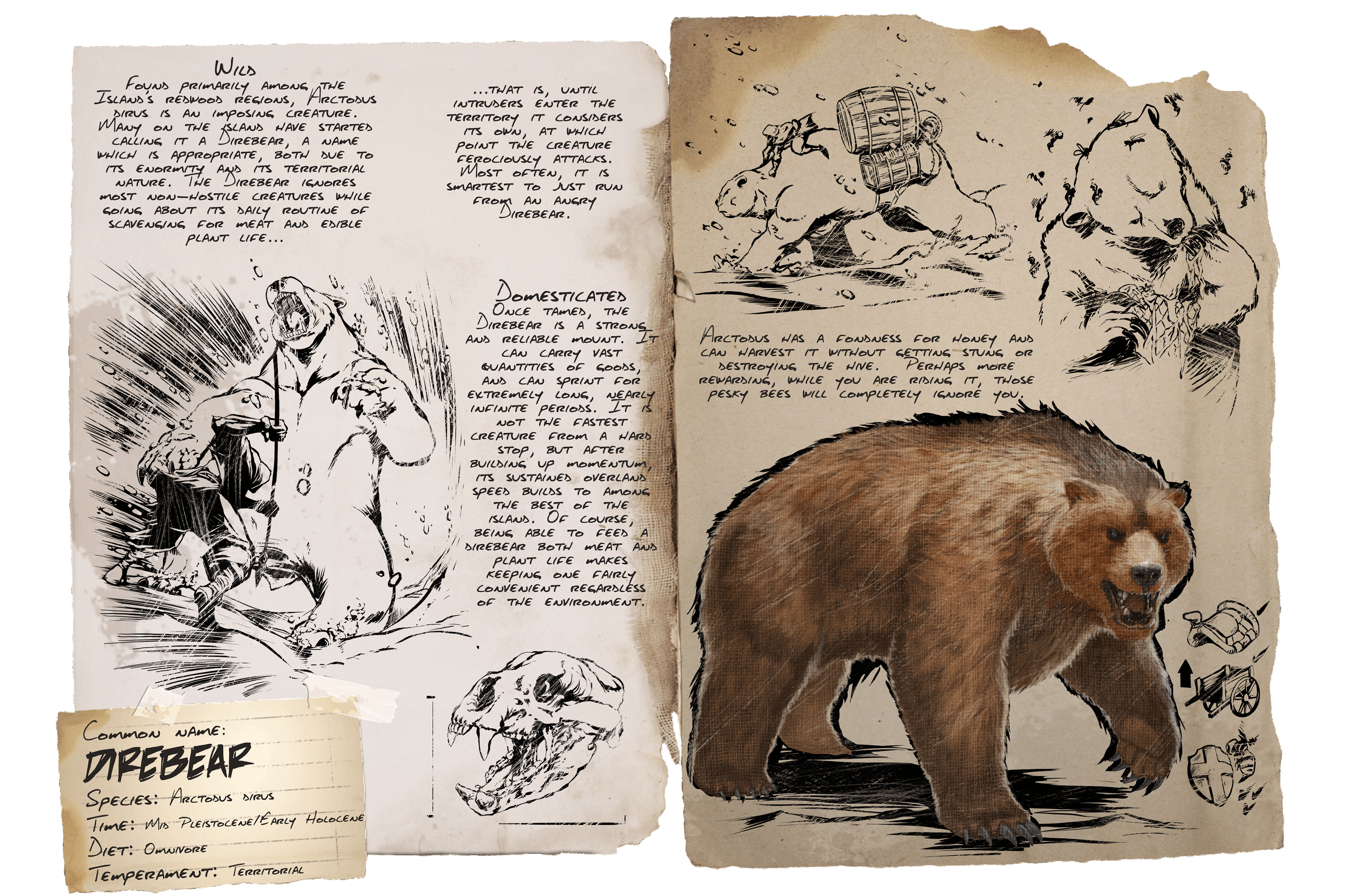 File:Dossier Dire Bear.png - Official ARK: Survival Evolved Wiki