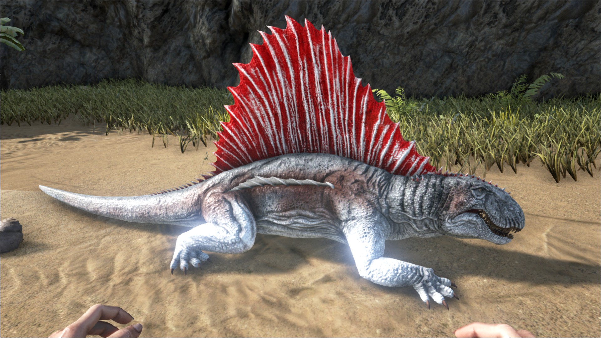 Dimetrodon - Official ARK: Survival Evolved Wiki