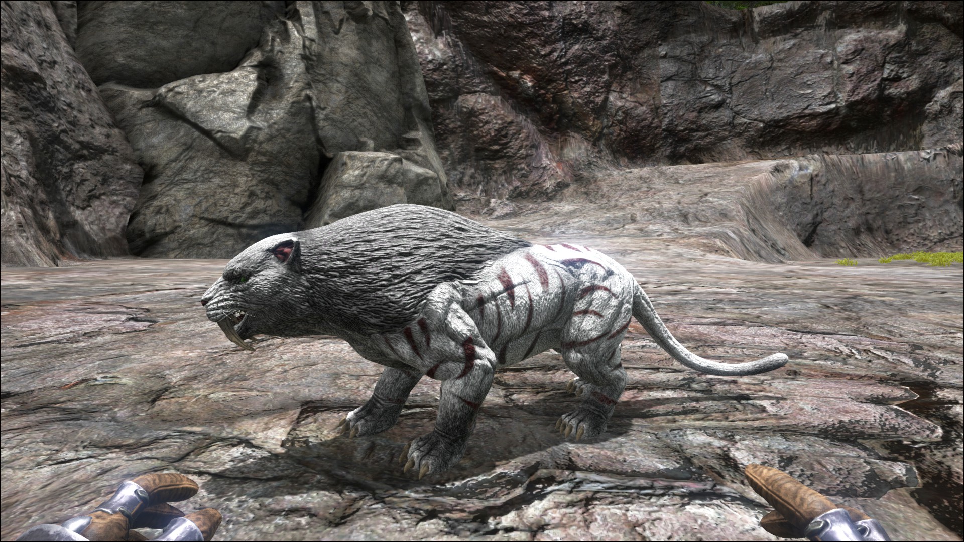 Sabertooth - Official ARK: Survival Evolved Wiki