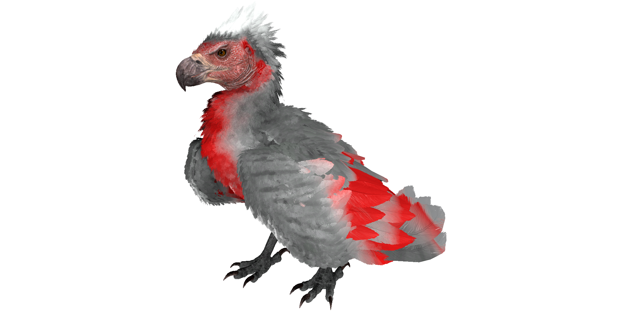 Argentavis - Wiki Oficial ARK: Survival Evolved