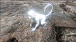 Mesopithecus - Official ARK: Survival Evolved Wiki