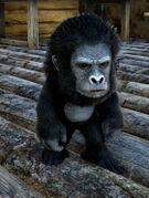 Chibi-Gigantopithecus - Official ARK: Survival Evolved Wiki