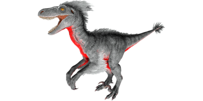 Alpha Raptor - Official ARK: Survival Evolved Wiki