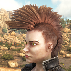 Hairstyles - Official ARK: Survival Evolved Wiki