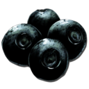 Narcoberry - Official ARK: Survival Evolved Wiki