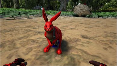 Bunny - Official ARK: Survival Evolved Wiki