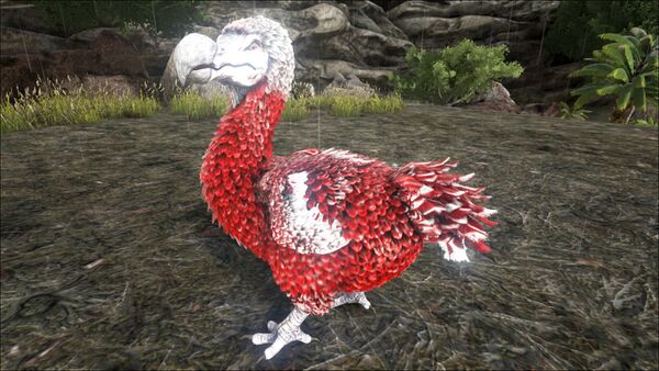 Dodo - Official ARK: Survival Evolved Wiki