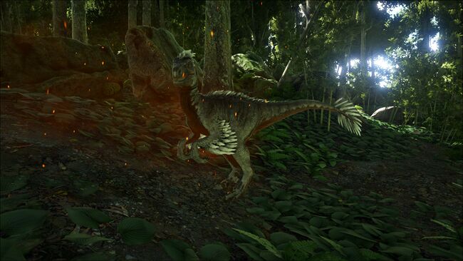 Alpha Raptor - Official ARK: Survival Evolved Wiki