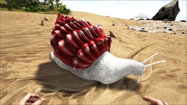Achatina Official Ark Survival Evolved Wiki