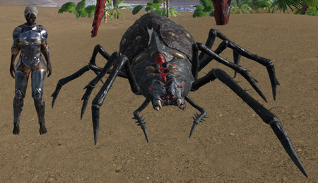 Talk:Spider - Official ARK: Survival Evolved Wiki
