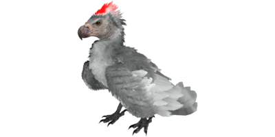 Argentavis - Official ARK: Survival Evolved Wiki