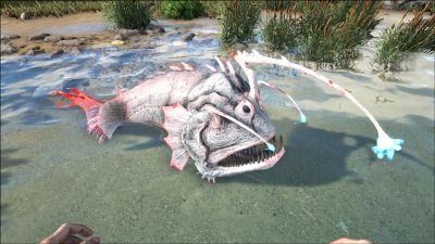 Anglerfish - Official ARK: Survival Evolved Wiki