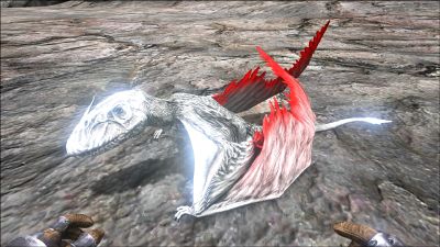 Dimorphodon - Official ARK: Survival Evolved Wiki