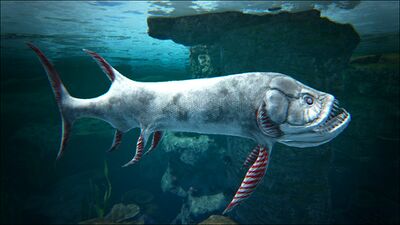 Xiphactinus Official Ark Survival Evolved Wiki