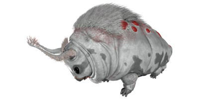 Gasbags - Official ARK: Survival Evolved Wiki