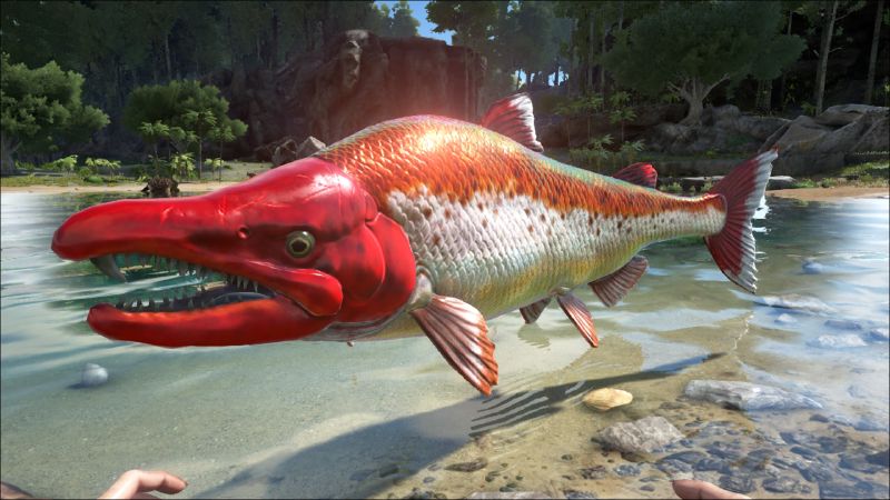 Sabertooth Salmon - Official ARK: Survival Evolved Wiki