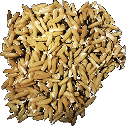 Rice Seed - Official ATLAS Wiki