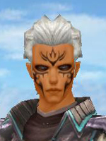 Premium Face style - Official Cabal Wiki