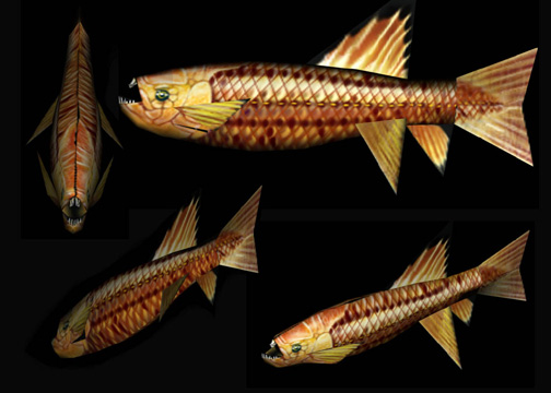 Leptolepis - Carnivores Wiki