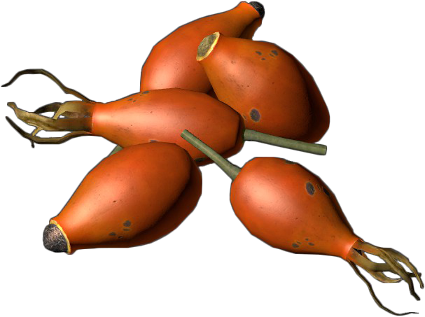 Rose Hips DayZ Wiki rose-hips-dayz-wiki
