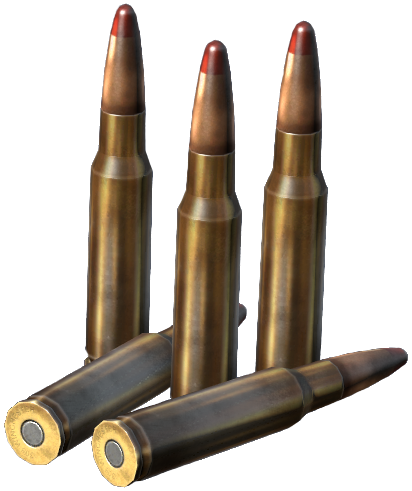 .308 WIN Rounds - DayZ Wiki