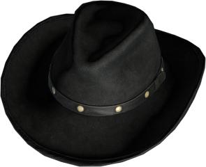 Cowboy Hat - DayZ Wiki