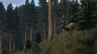Hunting - DayZ Wiki