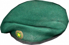 DayZ Lore - DayZ Wiki