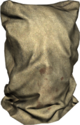 Burlap Sack - DayZ Wiki