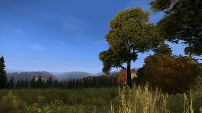 Landscape - DayZ Wiki