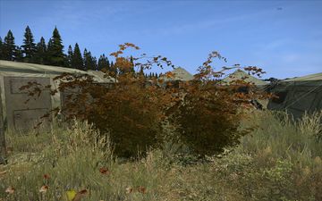 Vegetation - DayZ Wiki