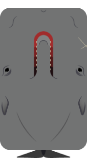 Deeeep.io evolution tree 2020 | deeeepio.games