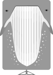 Deeeep.io evolution tree 2020 | deeeepio.games