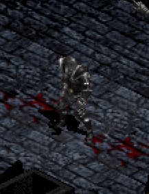 Warrior (Diablo I) - Diablo Wiki