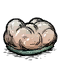 Egg - Don't Starve Wiki