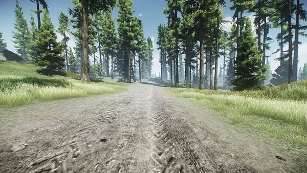 Woods - The Official Escape from Tarkov Wiki