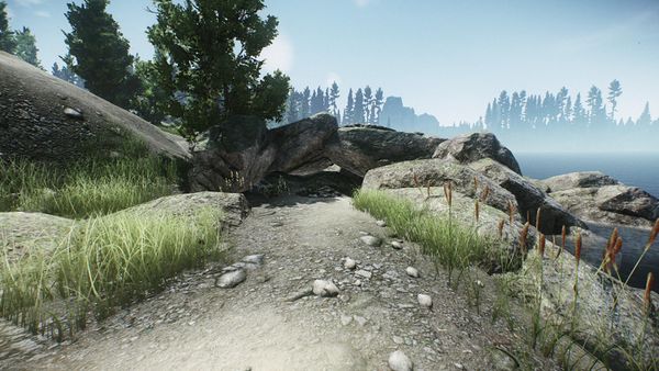 Woods - The Official Escape from Tarkov Wiki