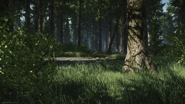 Woods - The Official Escape from Tarkov Wiki