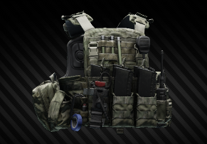 Разгрузочный жилет с бронепластинами Ars Arma CPC MOD.2 — Escape from ...