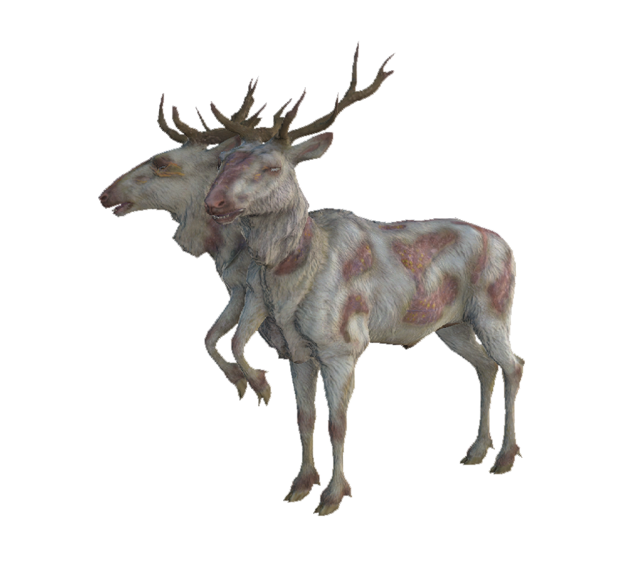 Albino radstag - The Vault Fallout Wiki - Everything you need to know ...