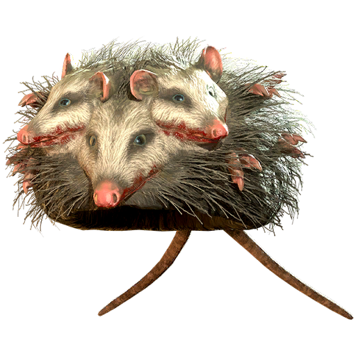 Rad opossum hat - The Vault Fallout Wiki - Everything you need to know ...