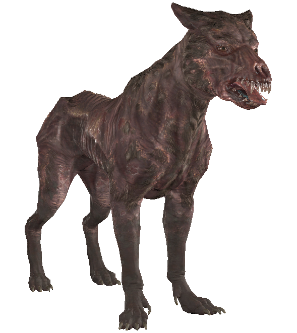 Wild mongrel - The Vault Fallout Wiki - Everything you need to know ...