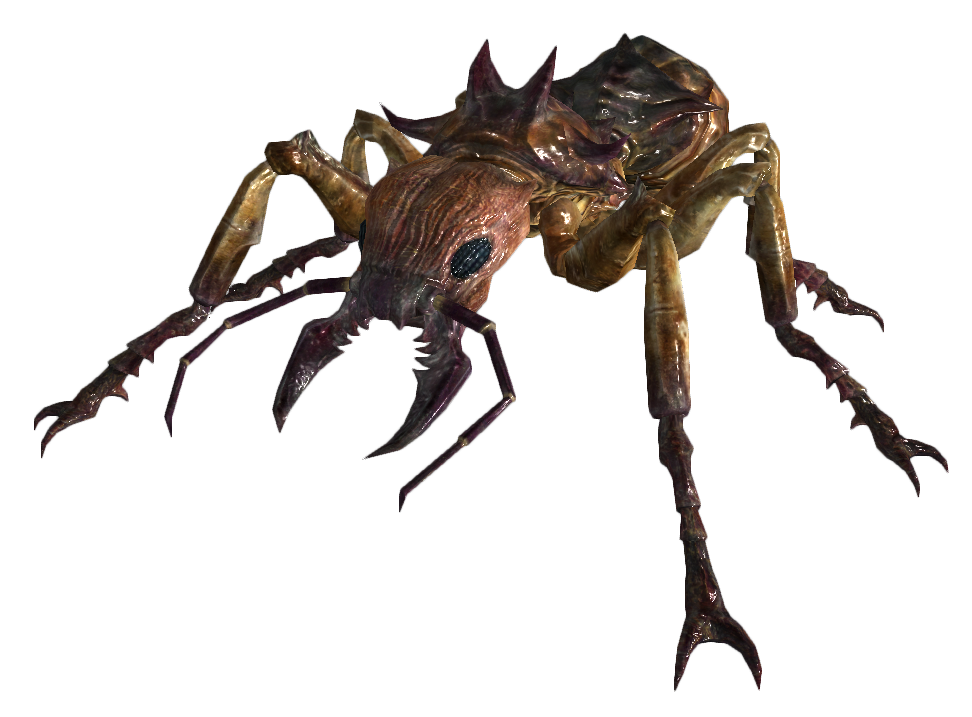 Giant ant (Fallout: New Vegas) - The Vault Fallout Wiki - Everything ...