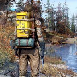 Standard backpack - The Vault Fallout Wiki - Everything you need to ...