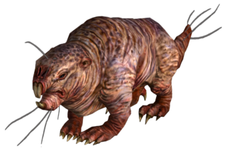Mole rat (Fallout: New Vegas) - The Vault Fallout Wiki - Everything you ...