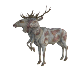 Albino radstag - The Vault Fallout Wiki - Everything you need to know ...