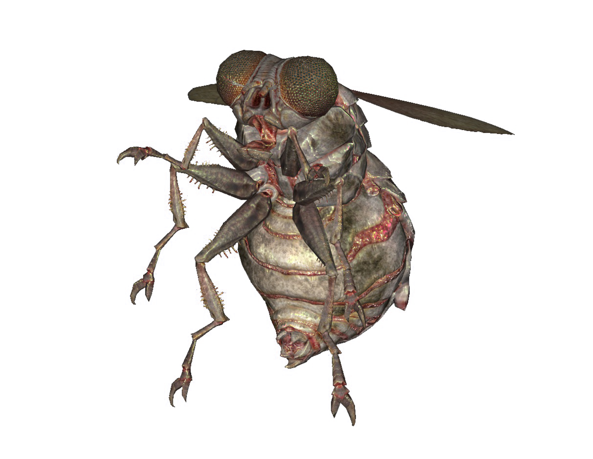 Bloatfly (Fallout 76) - The Vault Fallout Wiki - Everything you need to ...